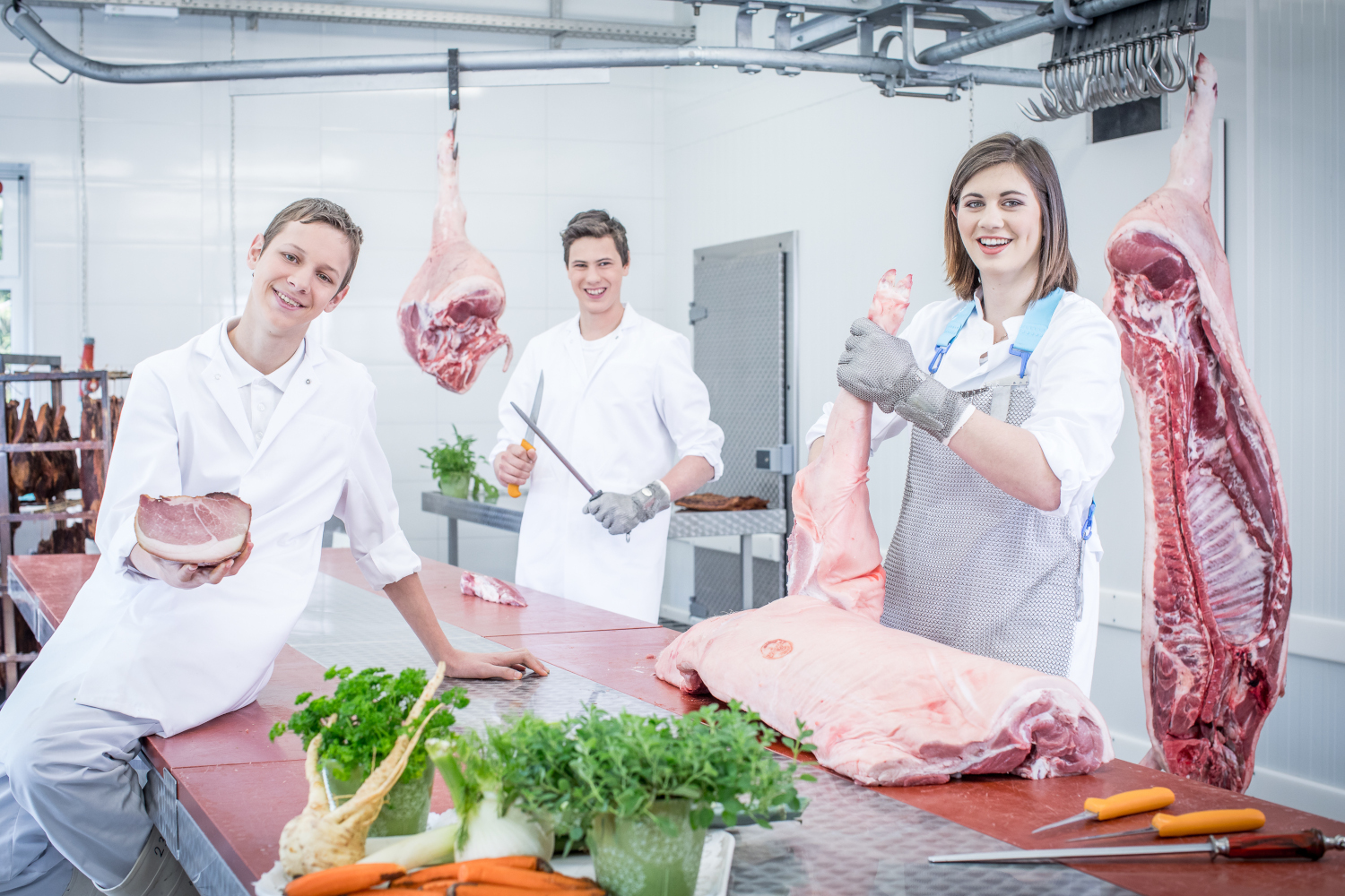 Fleischverarbeitung - Fachschulen Land Steiermark
